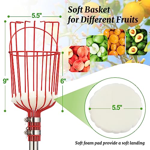 Fruit Picker, 10FT Long Handle Fruit Picker with Basket, Fruit Catcher Tool for Apple Mango Pear Orange Avocado Lemon Citrus Tree Picker
