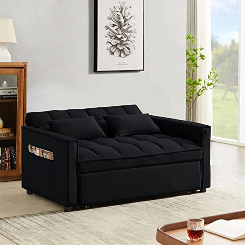 ERYE Black Velvet 2 Pillows