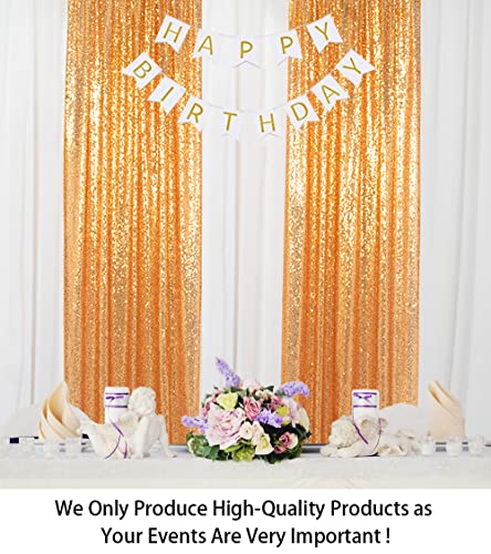 Sparkle Backdrop Curtain Gold 2 Panels Set Sequin Photo Backdrop 2FTx8FT Sequin Backdrop Curtain Pack of 2-1220S