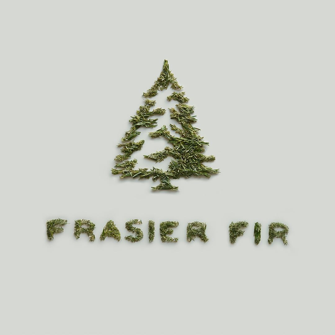 Thymes Luminary Frasier Fir Candle - Scented Candle - Luxury Home Fragrance - Home Decor & Bathroom Accessories - Frasier Fir Pine Scent - Silver Candle - 20 Oz