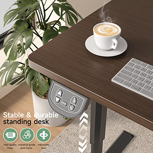 Dripex Adjustable Electric Standing Desk, 55 inch, Grey Brown