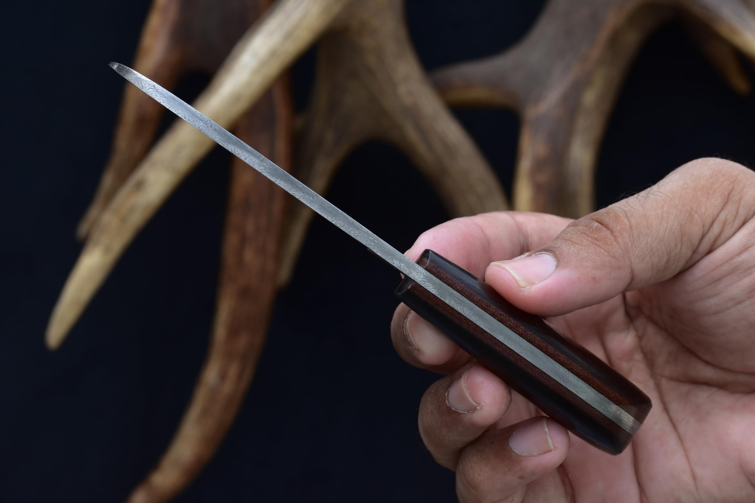 Knives Ranch Damascus Steel Small Castrator with Indian Rosewood Handle Dual Carry Vertical or Horizontal Cowboy Crossdraw Leather Sheath (3177-IRW)