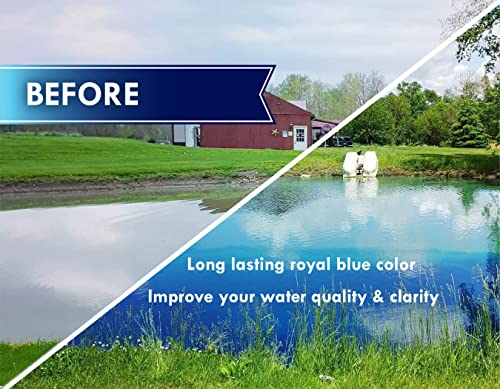 Pond Worx Blue Lake and Pond Dye - 4X Concentrated Liquid Pond Colorant β Shades and Protects Your Pond, Treats up to 1 Acre β1 Quart