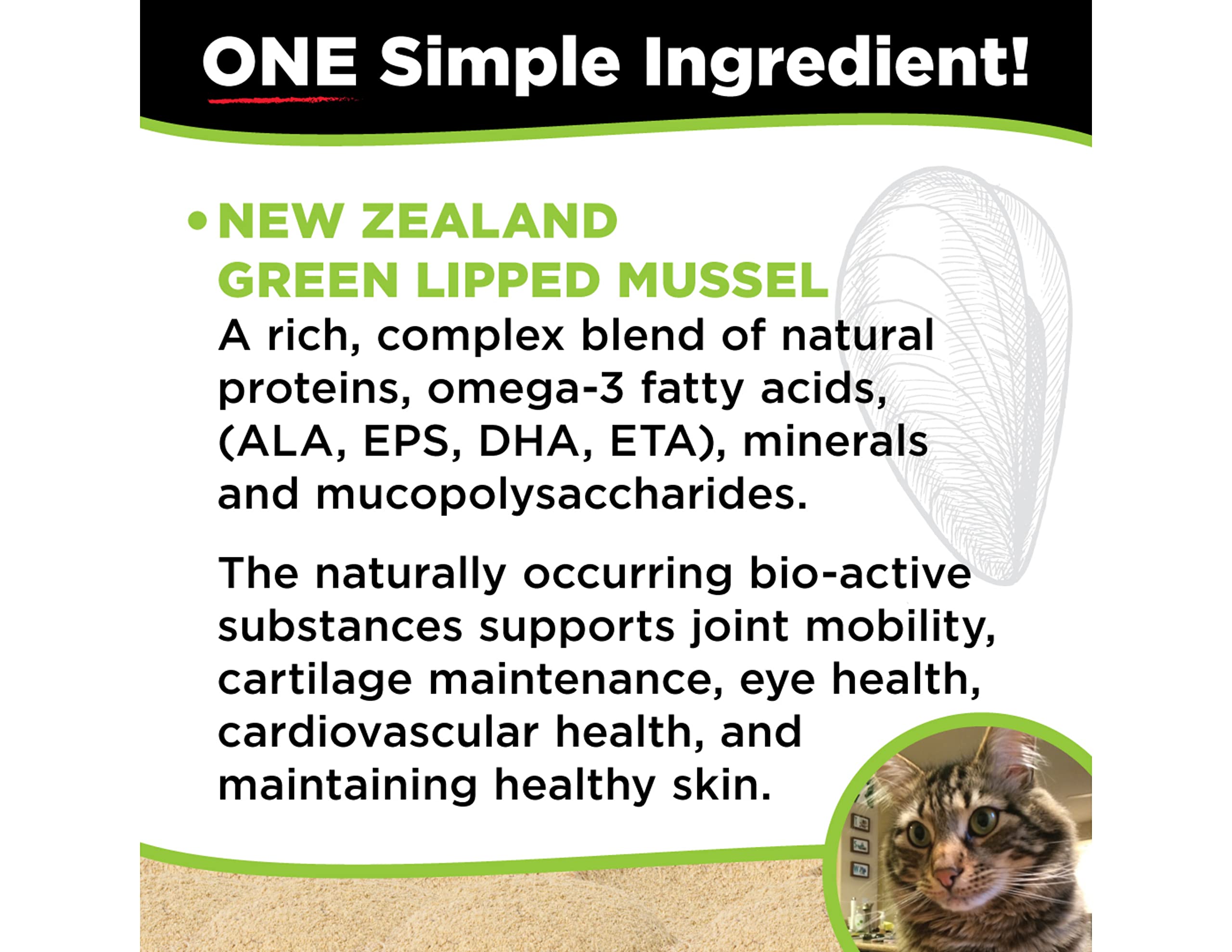 Super Snouts Joint Power 100% Green Lipped Mussels for Dogs & Cats - Dog Joint Supplement Powder Supports Joints, Tendons, Ligaments (2.64 oz, Pack of 2)