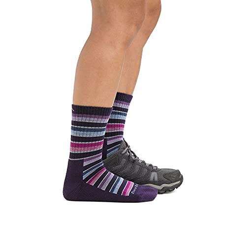 Darn Tough Vermont Decade Stripe Micro Crew Midweight with Cushion Blackberry MD (US 7.5-9.5)