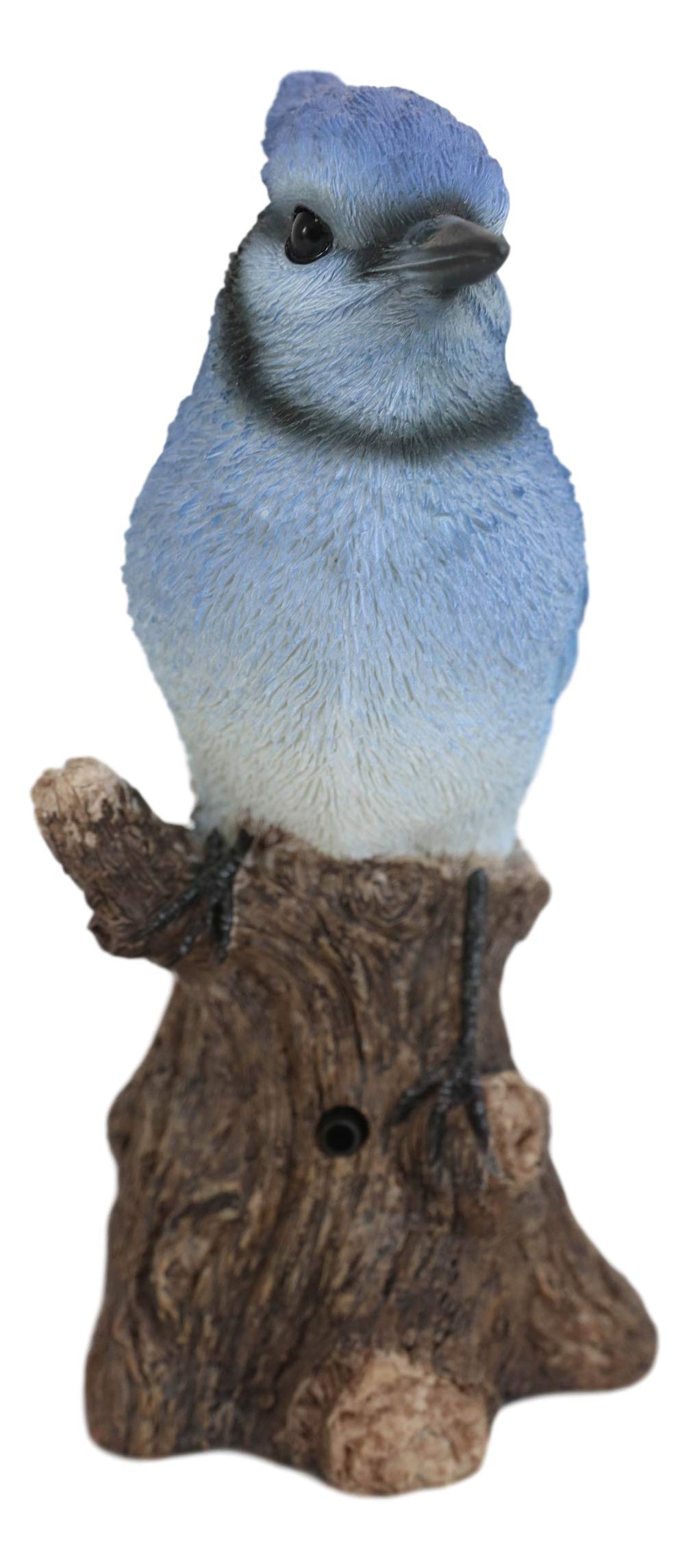 Ebros Gift Realistic Hand Painted Blue Jay Passerine Bird Perching On Tree Stump Guest Greeter With Built In Motion Activated Sensor Chirping Sound Statue 6.25"Tall Taxidermy Home And Garden Sculpture