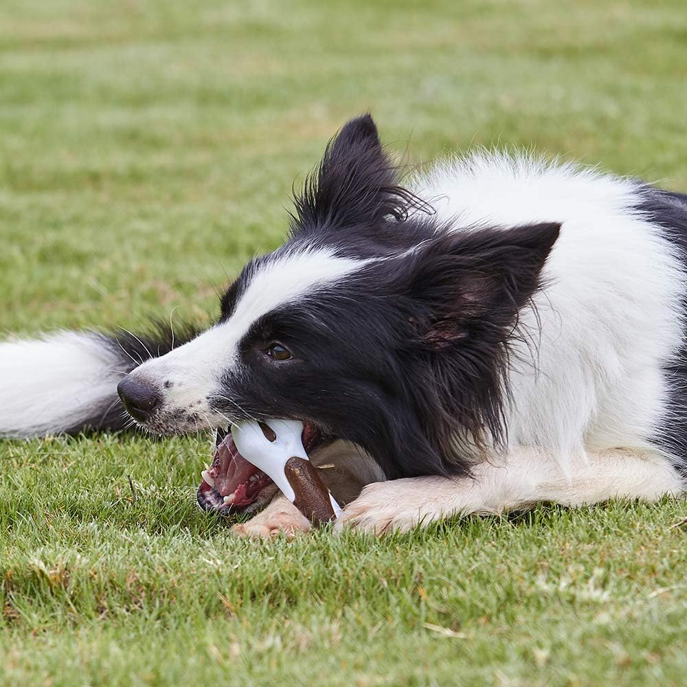ONTWOPETS 2in 1 Dog Chew Toys for Aggressive Chewers - Nylon Dog Chew Toy with Edible Treat Layer (Bone_New, Large)
