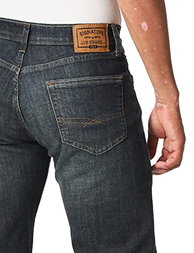 Signature by Levi Strauss & Co. Gold Label Men's Regular Fit Flex Jeans, Westwood #1, 44W x 32L
