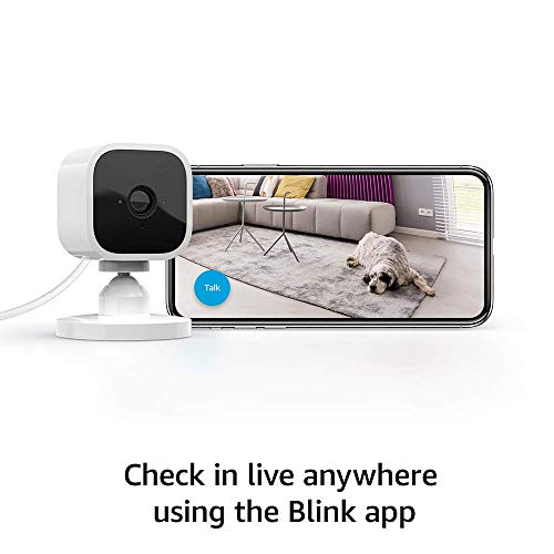 Echo Dot (4th Gen, 2020 release), Charcoal + Blink Mini Camera