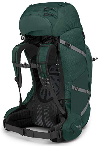 Osprey Aether Plus 85L Men's Backpacking Backpack, Axo Green, Large/X-Large