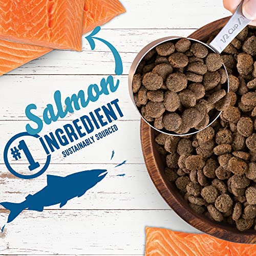 Unrefined Smoked Salmon with Ancient Grains & Superfoods Dry Dog & Puppy Food, 12.5 lb.