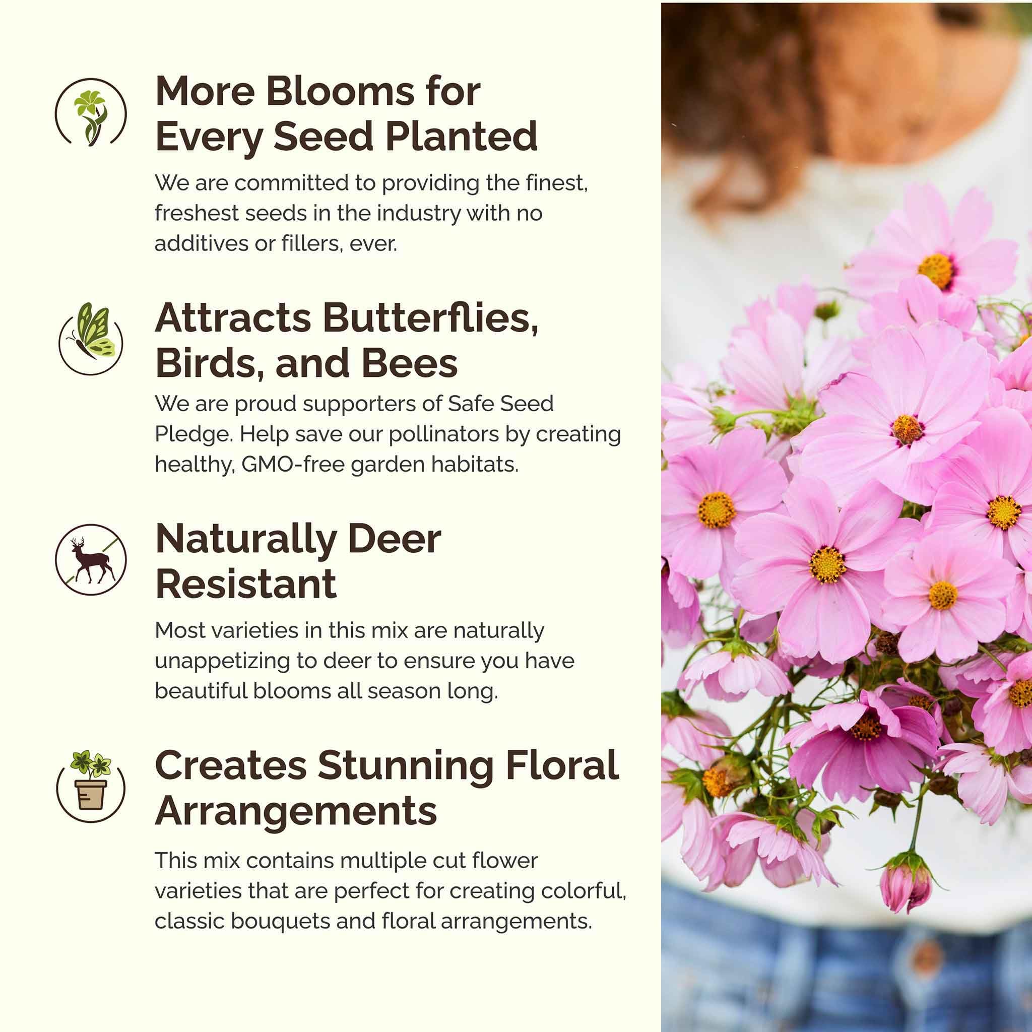 Eden Brothers Pretty in Pink Wildflower Mixed Seeds for Planting, 1/4 lb, 120,000+ Seeds with Candytuft, Rose Mallow | Attracts Pollinators, Plant in Spring or Fall, Zones 3, 4, 5, 6, 7, 8, 9, 10