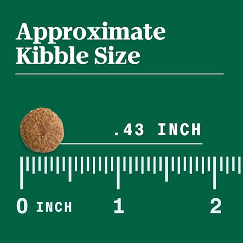 NUTRO Limited Ingredient Diet Adult Dry Dog Food Lamb & Sweet Potato Dog Kibble, 4 lb. Bag