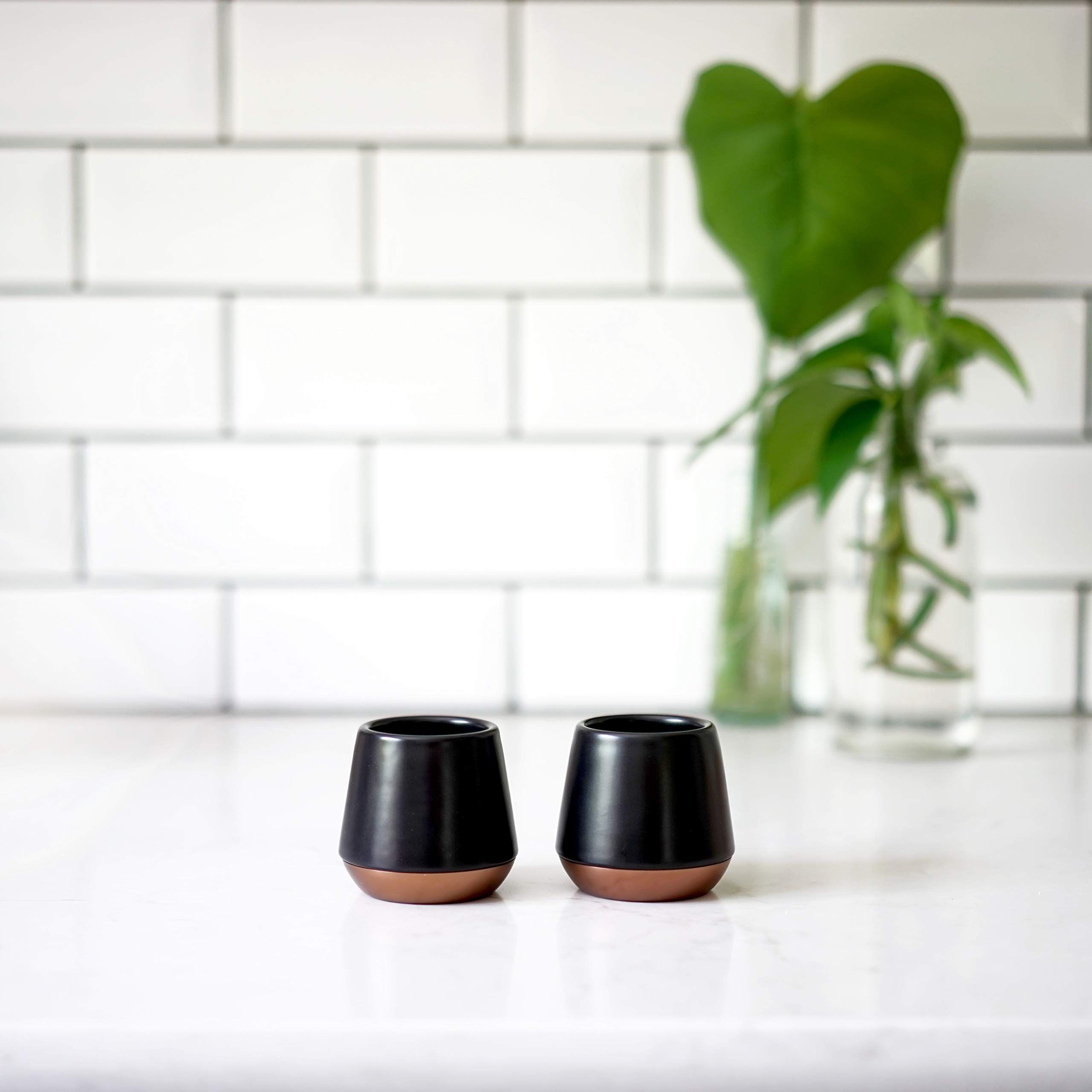 Fellow Junior Demitasse Double Wall Ceramic Coffee Mug - Refined and Sophisticated Espresso Cups, Matte Black, 2.3 oz Shot Cup (Set of 2)