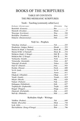 The Scriptures Large Print Duotone Charcoal Edition (ISR)