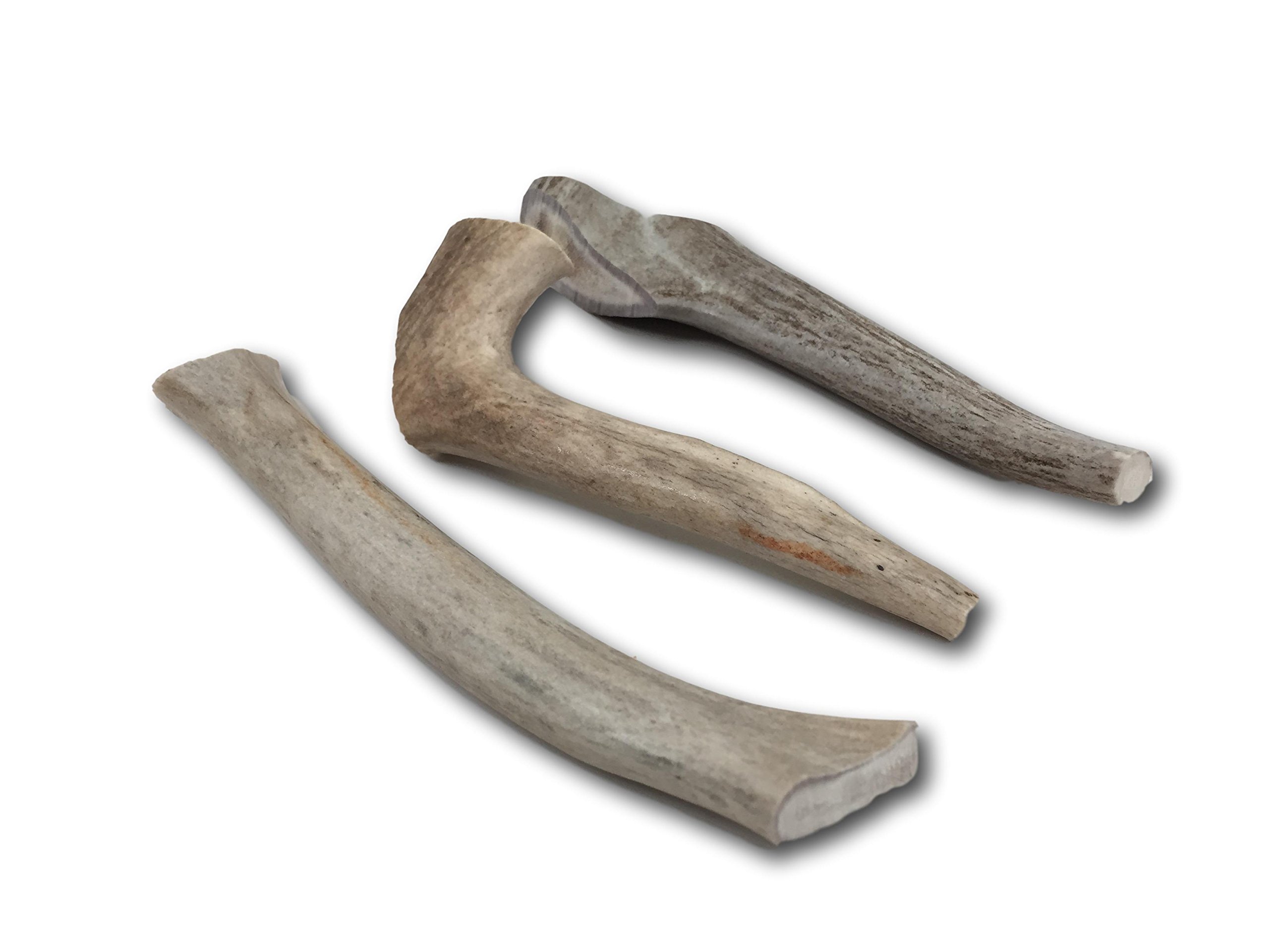Top Dog Chews Brand | 3 Pack | A Grade | Deer and Elk Antler Dog Chews Medium 4"-6". Perfect for Small and Medium Dogs