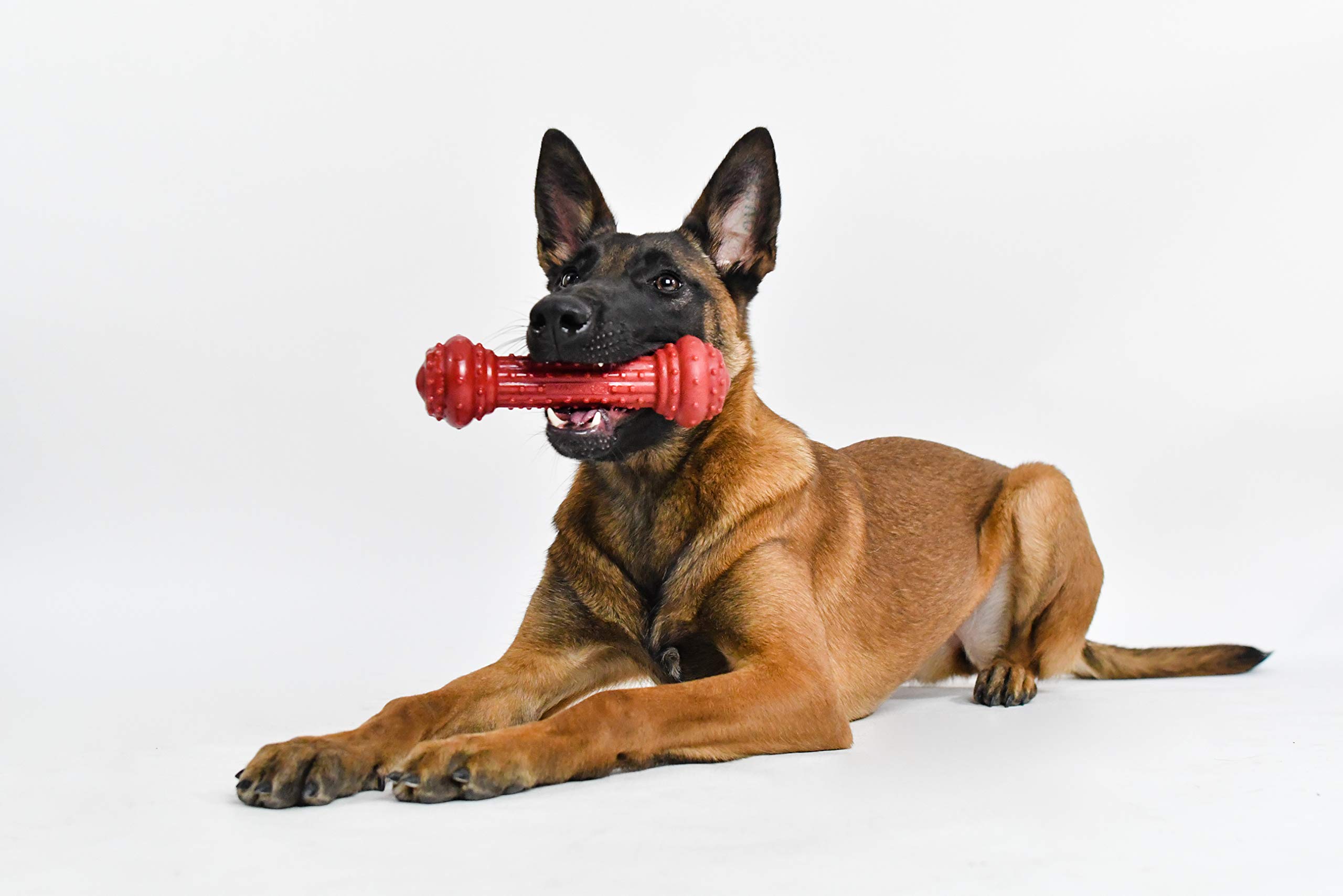 Pet Qwerks Bongo BarkBone - Nylon Dog Bone for Aggressive Chewers - Prime Rib Flavor - Large