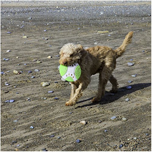 Rosewood Throw-n-Go Dental Saucer Dog Toy, 23 cm/9-Inch