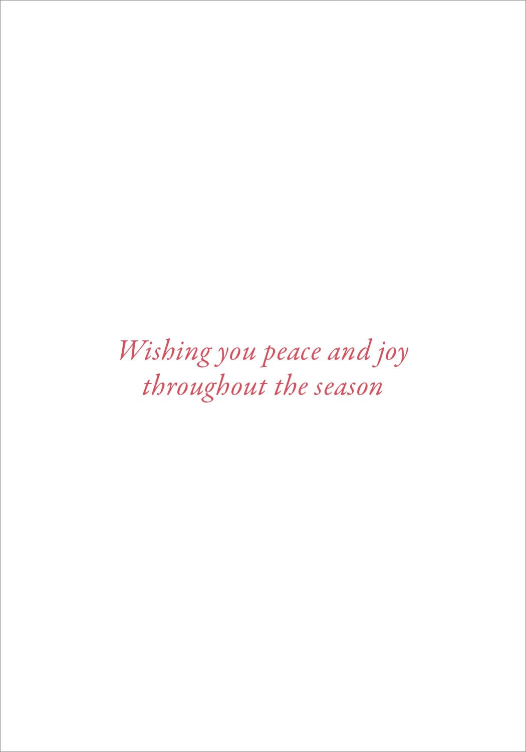 Dove with Mistletoe Small Boxed Holiday Cards (Christmas Cards, Greeting Cards)