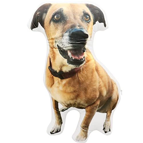 OARSE Custom Pet Pillows Personalized with Photo Pillow Shaped Looks Like Your Dog Cat Picture Customized Pets Gifts for Owners - Single Sided Print 12 Inch