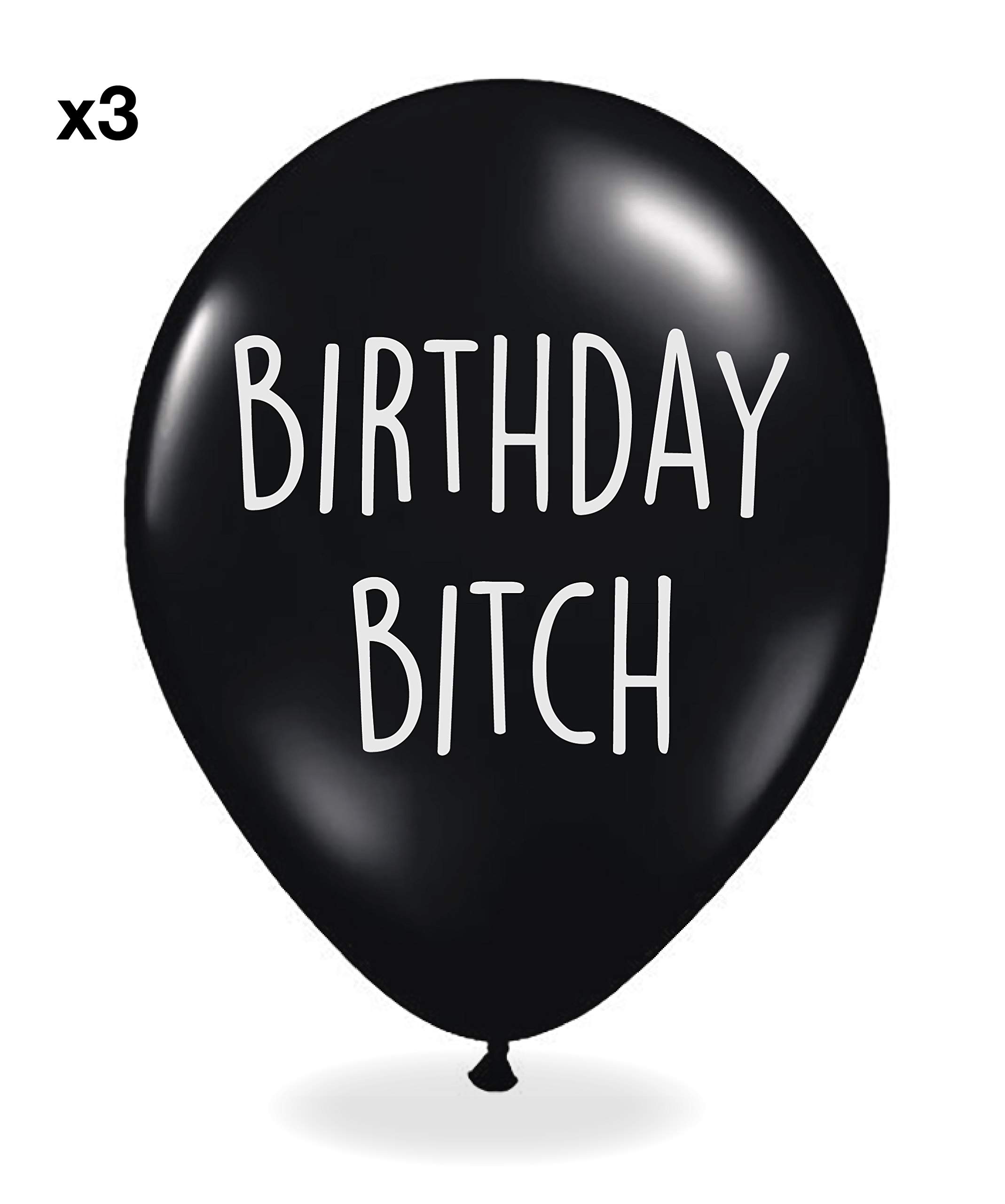 Funny Party Pieces Abusive Birthday Balloons - Pack Of 12 Different Funny Offensive Balloons (For Her)