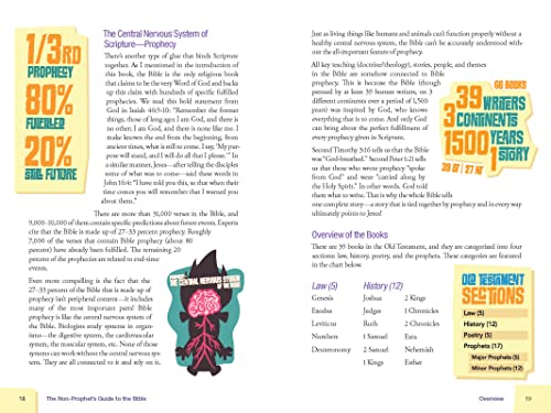 The Non-Prophet's Guide to the Bible: A Visual Journey Through God’s Story...and Where You Fit In