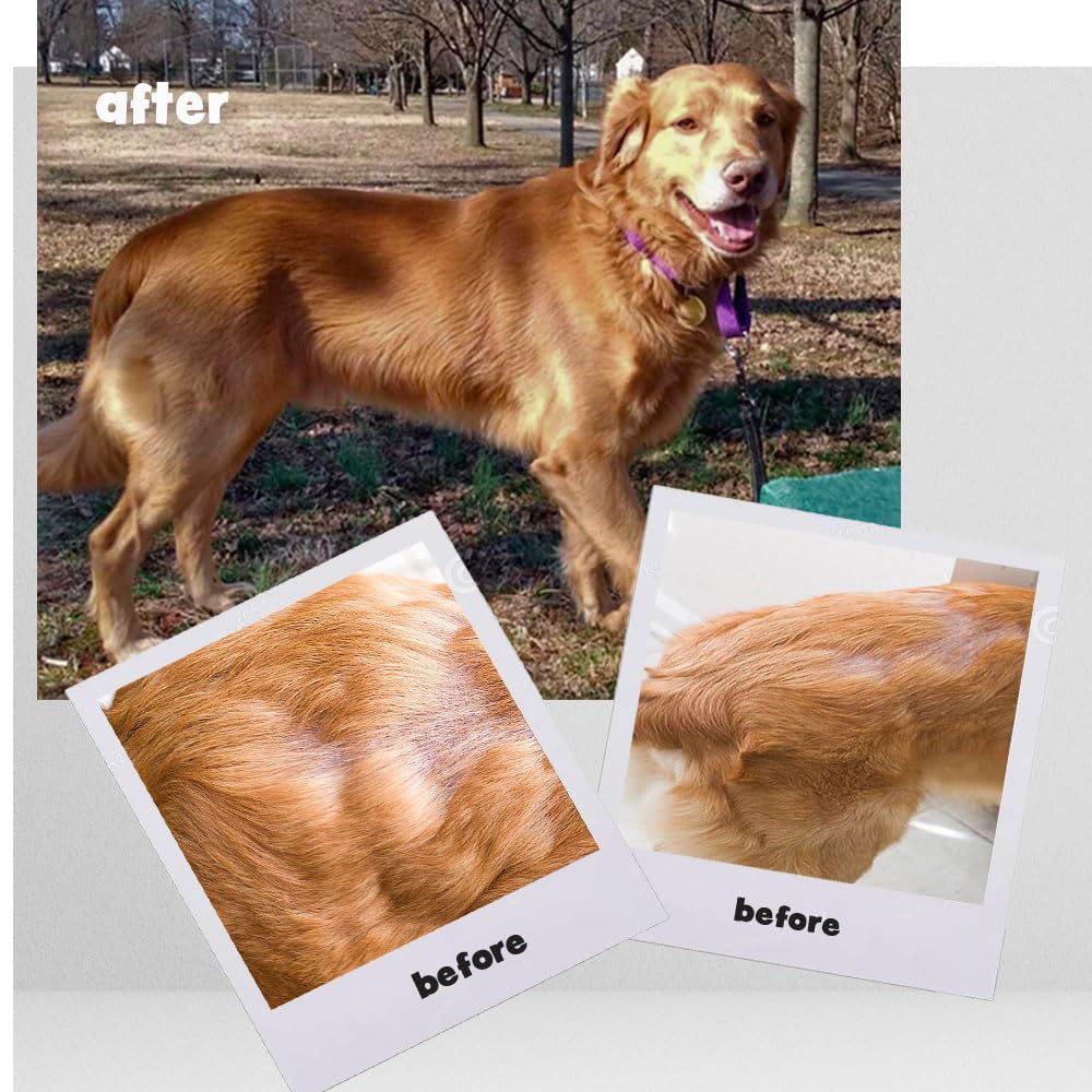 Omega-Caps High Potency Snip Tips for Medium to Large Breeds-Vet Formulated for Healthy Radiant Skin & Coat. Contains Omega 3 for Joint & Immune System Support, Easy to Dose, 60 Snip-tip Capsules