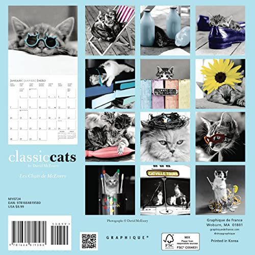 Graphique 2024 Classic Cats Mini Wall Calendar | 7” x 7” | Thick Paper | Home & Office Organizer | Large Monthly Grid | 3 Languages & Marked Holidays | 4 Month Preview Page for 2025