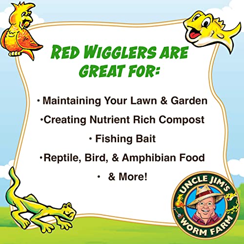 Uncle Jim's Worm Farm Red Wiggler Live Composting Worms Mix for Garden Soil or Fishing | Pack of Compost Improves Structure and Quality Healthier Gardens 250 Count