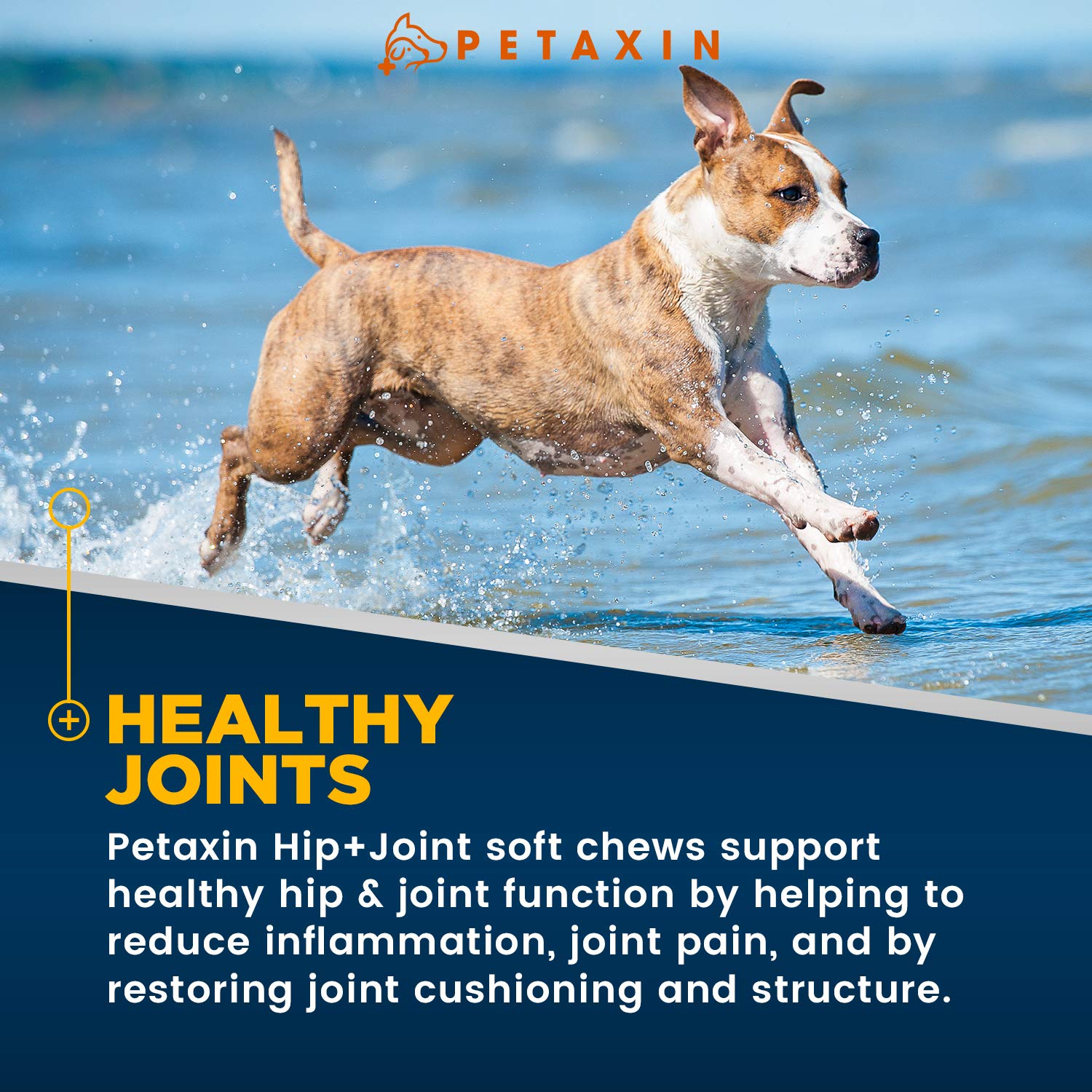 Petaxin Glucosamine for Dogs – Advanced Hip and Joint Supplement for Dogs - Dog Joint Supplement for Joint Pain Relief and Mobility – Dog Glucosamine with Chondroitin, MSM, Turmeric - 120 Soft Chews