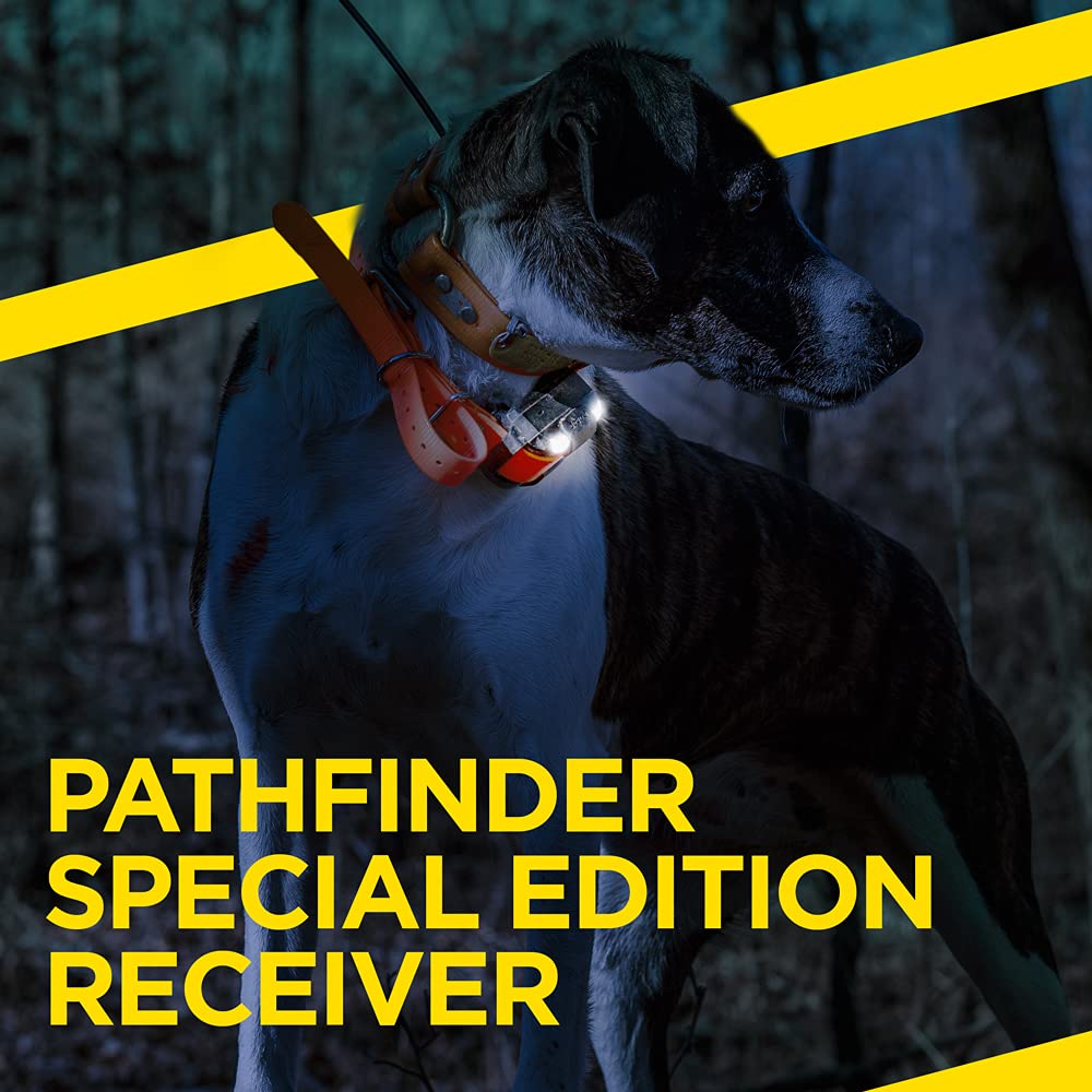 Dogtra Pathfinder SE GPS Tracking & Training E-Collar Special Edition LED Receiver 9-Mile 21-Dog Expandable Rechargeable Waterproof Compatible Smartphone Required with Wearable Carrying Holster