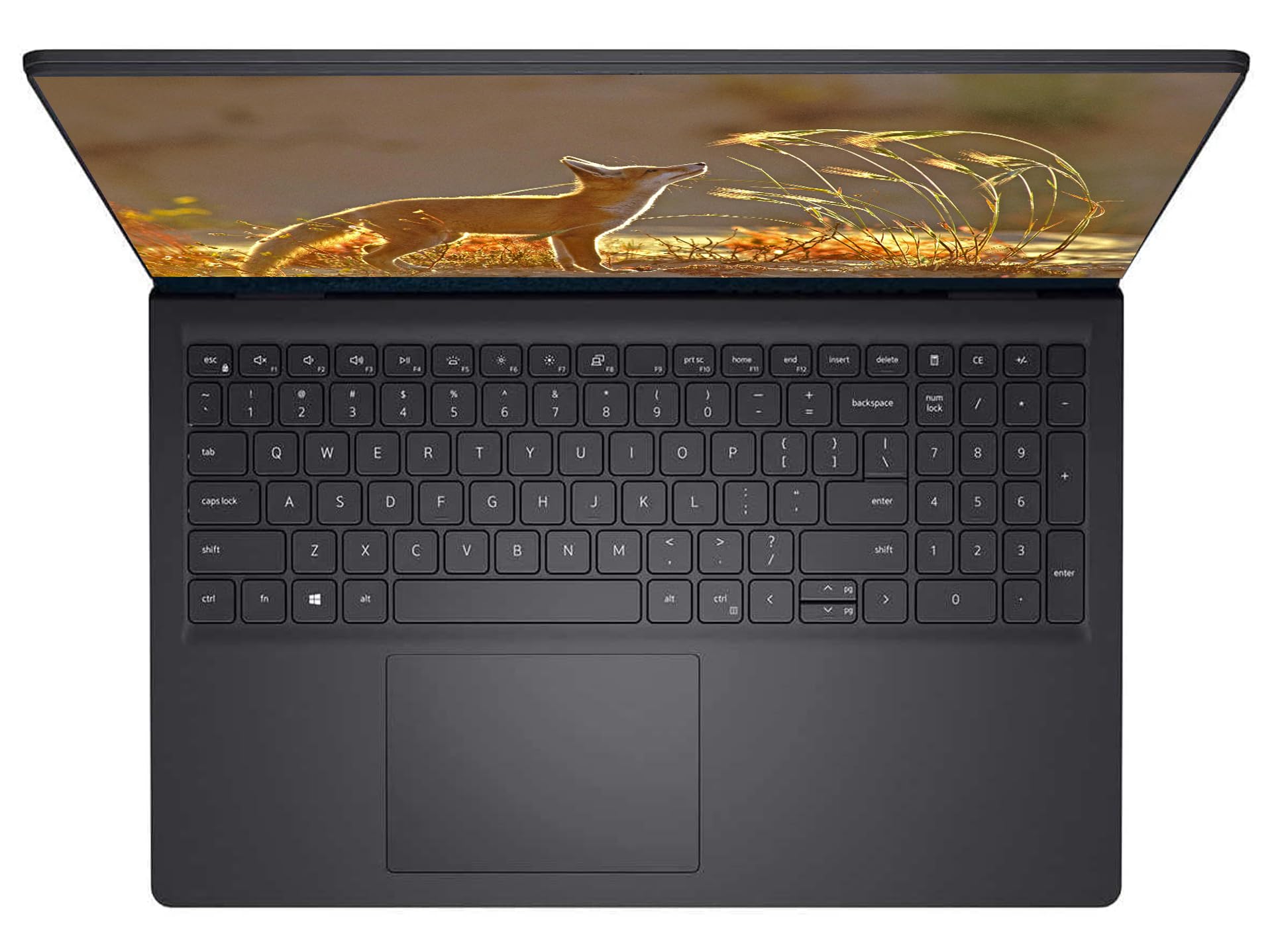 DELL Inspiron Laptops for Student & Business, 15.6'' FHD LED Touchscreen, Intel 13th Gen Core i7-1355U(10-core), Up to 5 GHz, 64GB RAM, 2TB SSD, HDMI, Wi-Fi 6, USB-C, Long Battery Life, Windows 11