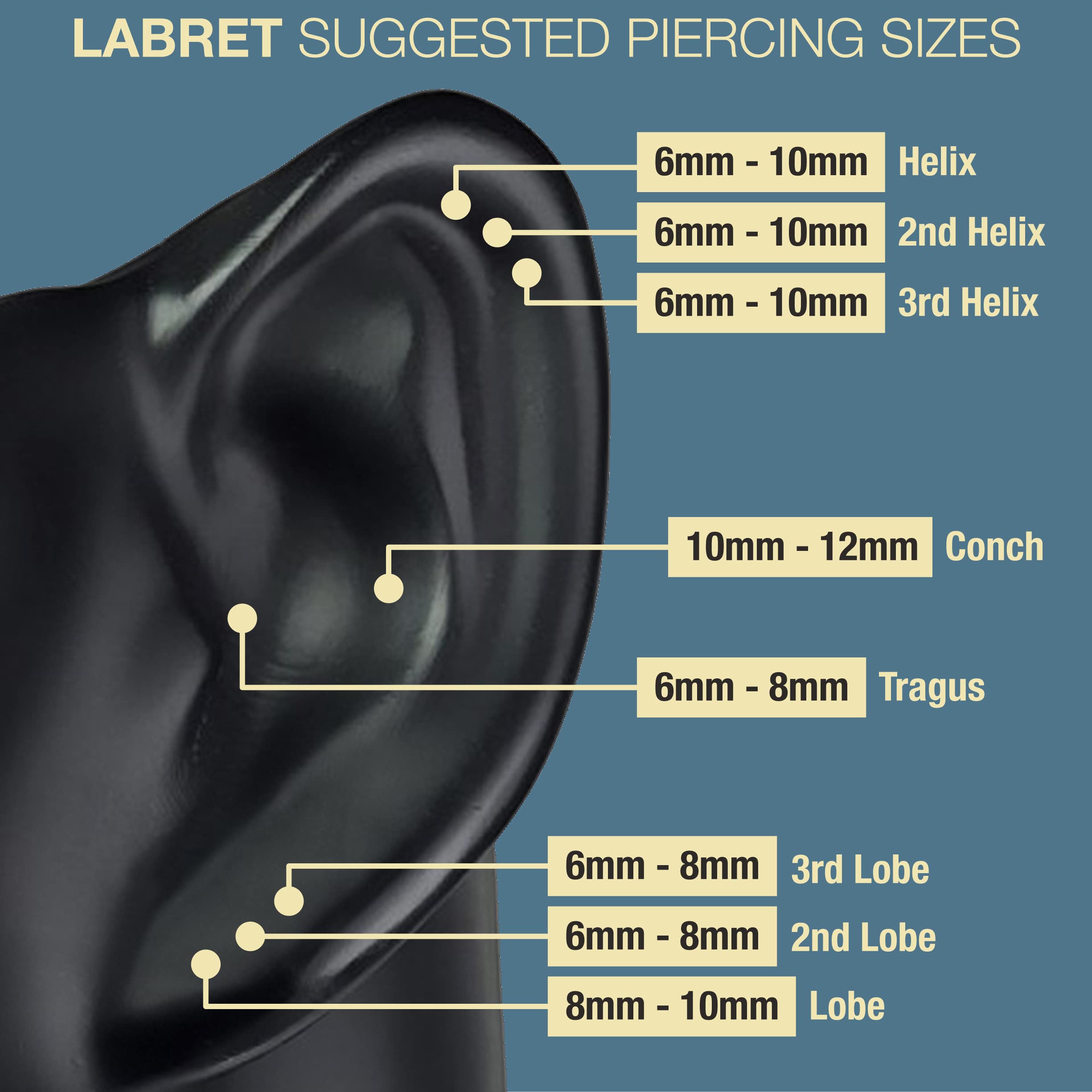 Evonix 2pc 16g Labret Studs Lip Ring Monroe Tragus Snake Spider Bites Forward Helix Cartilage Dahlia Conch Surgical Steel 4mm Ball Black - 6mm