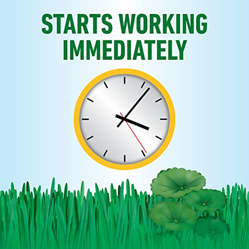 Roundup for Lawns₄ Refill (Southern) - All-in-One Weed Killer for Lawns, 1 gal.