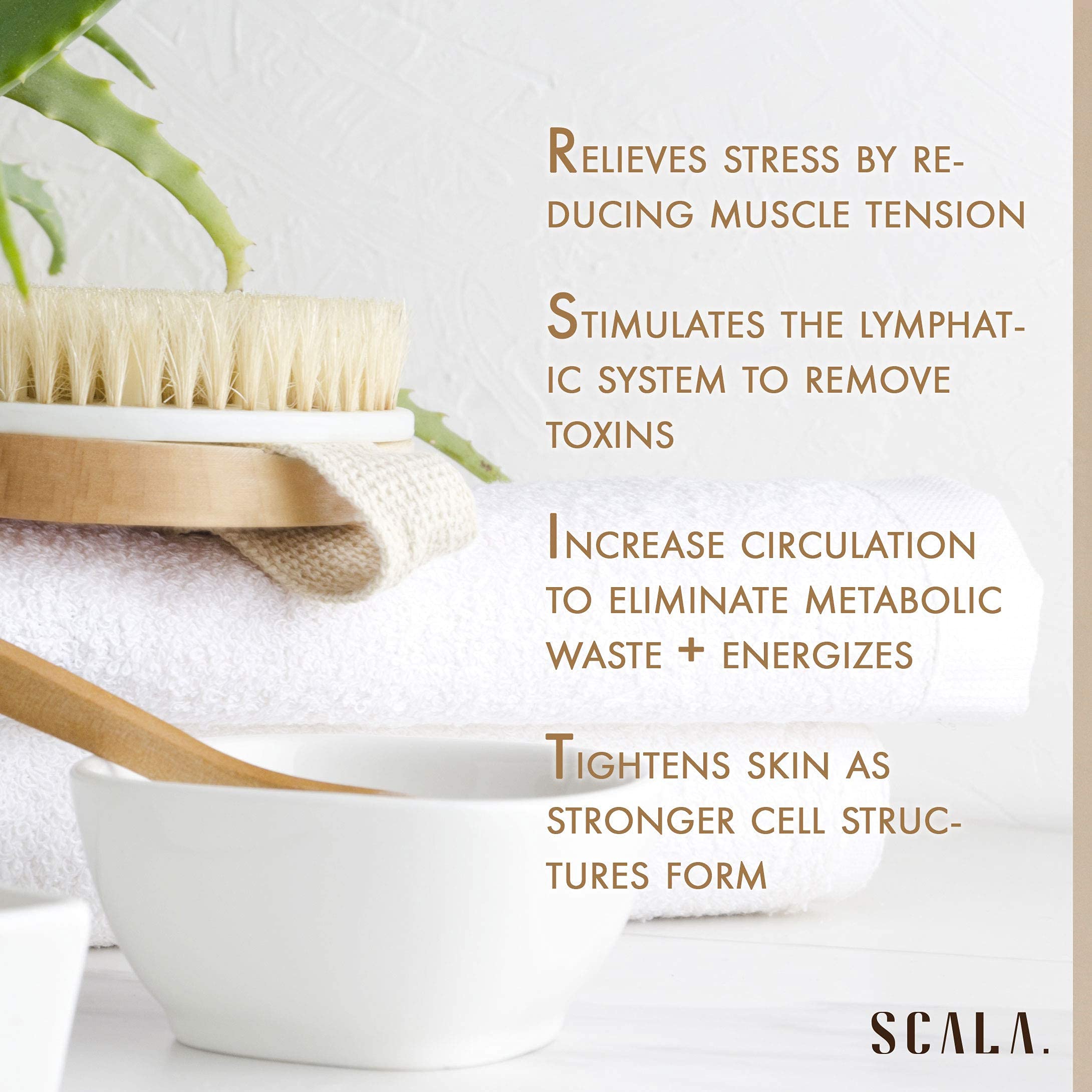 Dry Brushing Body Brush SCALA Natural Bristle Body Brush, Soft Body Exfoliating Brush Scrub for Dead Skin, Cellulite, Lymphatic Drainage, Blood Flow – Thicker & Stronger Medium Strength