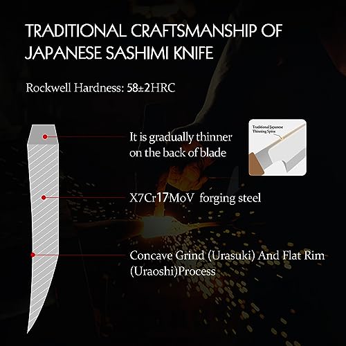 HEZHEN 300mm Sashimi Knife,Forged Steel Sushi Yanagiba Knife, Sushi Slicing, Wooden Handle Knife Case