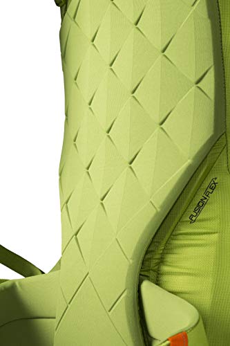 Gregory Mountain Products Alpinisto 50 Alpine Backpack, Lichen Green, Large