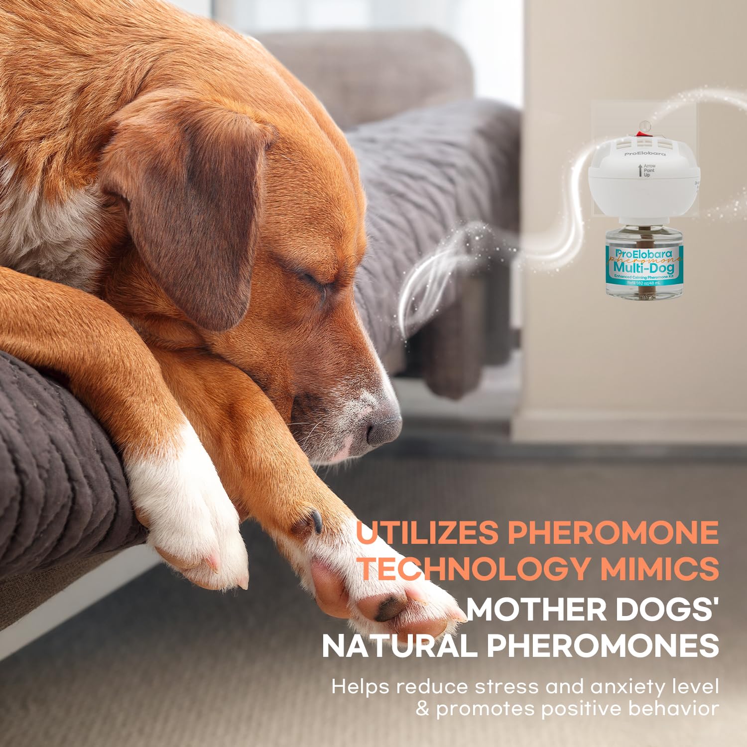 ProElobara Dog Calming Pheromone Diffuser: Dog Calming Pheromones Plug Diffuser - Reduces Stress & Anxiety Calming Pheromone Diffuser for Dogs - Calm Dogs 60 Supply (Blue)