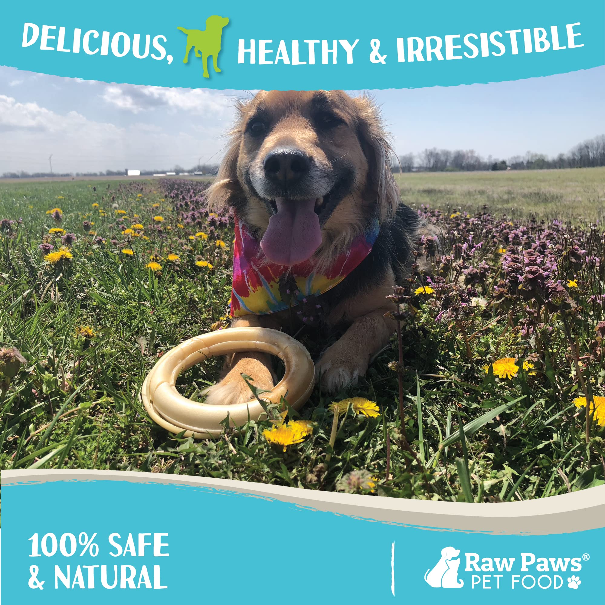 Raw Paws Compressed Rawhide Rings for Dogs, 6-inch, 5-Count - Packed in The USA - Rawhide Ring for Dogs - Digestible Rawhide Donuts - Natural Hide Dogs Chews - Natural Puppy Teething Rings