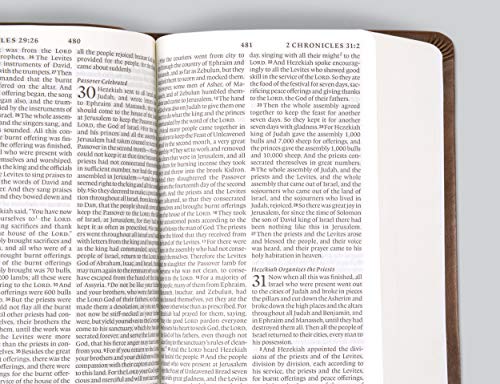 ESV Value Large Print Compact Bible (TruTone, Teal, Ornament Design Size: 8.0)