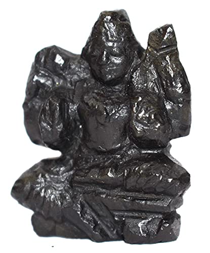 Rudrakshguru Goddess Lakshmi Idol Carved on Natural Sudarshan Shaligram