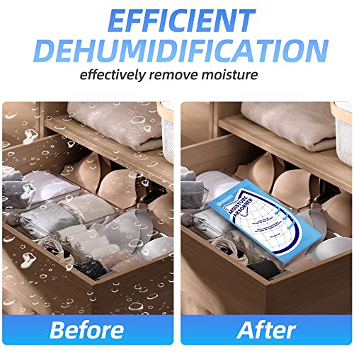 Wisesorb 25 Gram 10 Packs Moisture Absorbers, Dehumidifier Bags for Bathrooms, Basements, Rvs, Humidity Packets for Closet