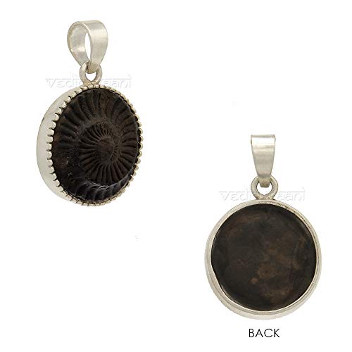 Vedic Vaani Natural Gandaki River Lord Vishnu Narayan Sudarshana Chakra Shaligram Shilla Stone Silver Pendant Locket (1 Piece)