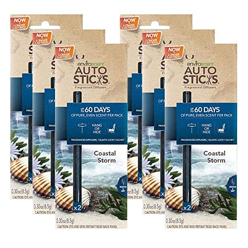 Enviroscents Auto Sticks Natural Car Air Fresheners, 6-Pack with 12 Sticks (Coastal Storm)