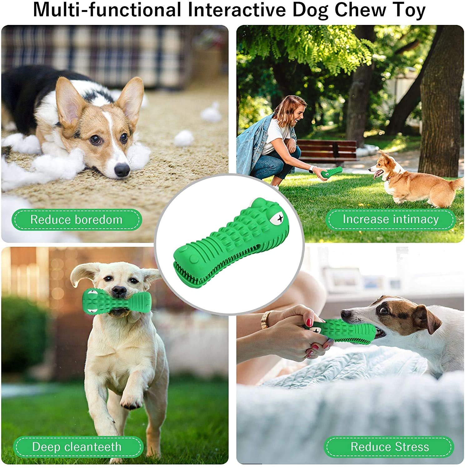 Dog Squeaky Chew Toy, Tough Natural Rubber Durable for Aggressive Chewers, Fun to Chew for Mediuem
