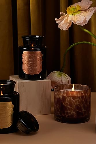 Paddywax Luxury Candles in Hand-Crafted Artisan Blown Glass Scented Luxe Candle, 8-Ounce, Baltic Ember