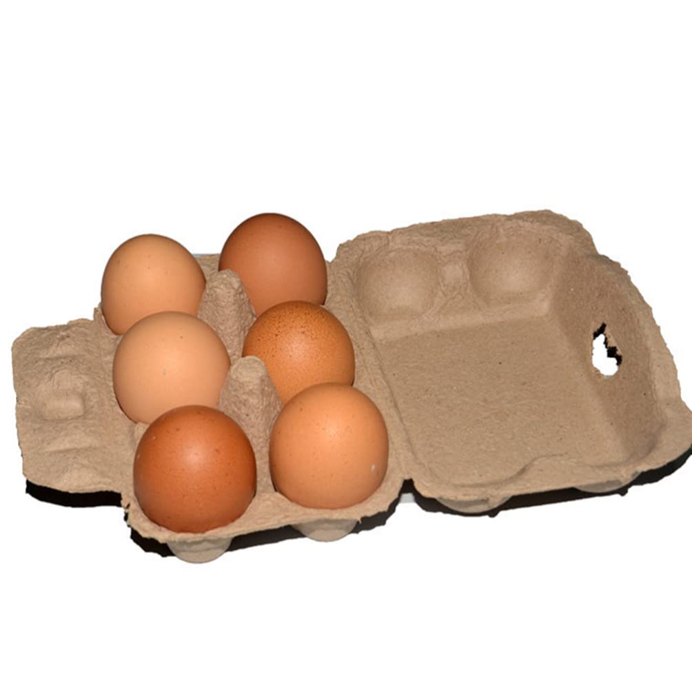 Happyyami 20pcs Egg Cartons Egg Tray Holder 6 Count Eggs Keeper Egg Bulk Container for Family Farm Market Camping Picnic Travel