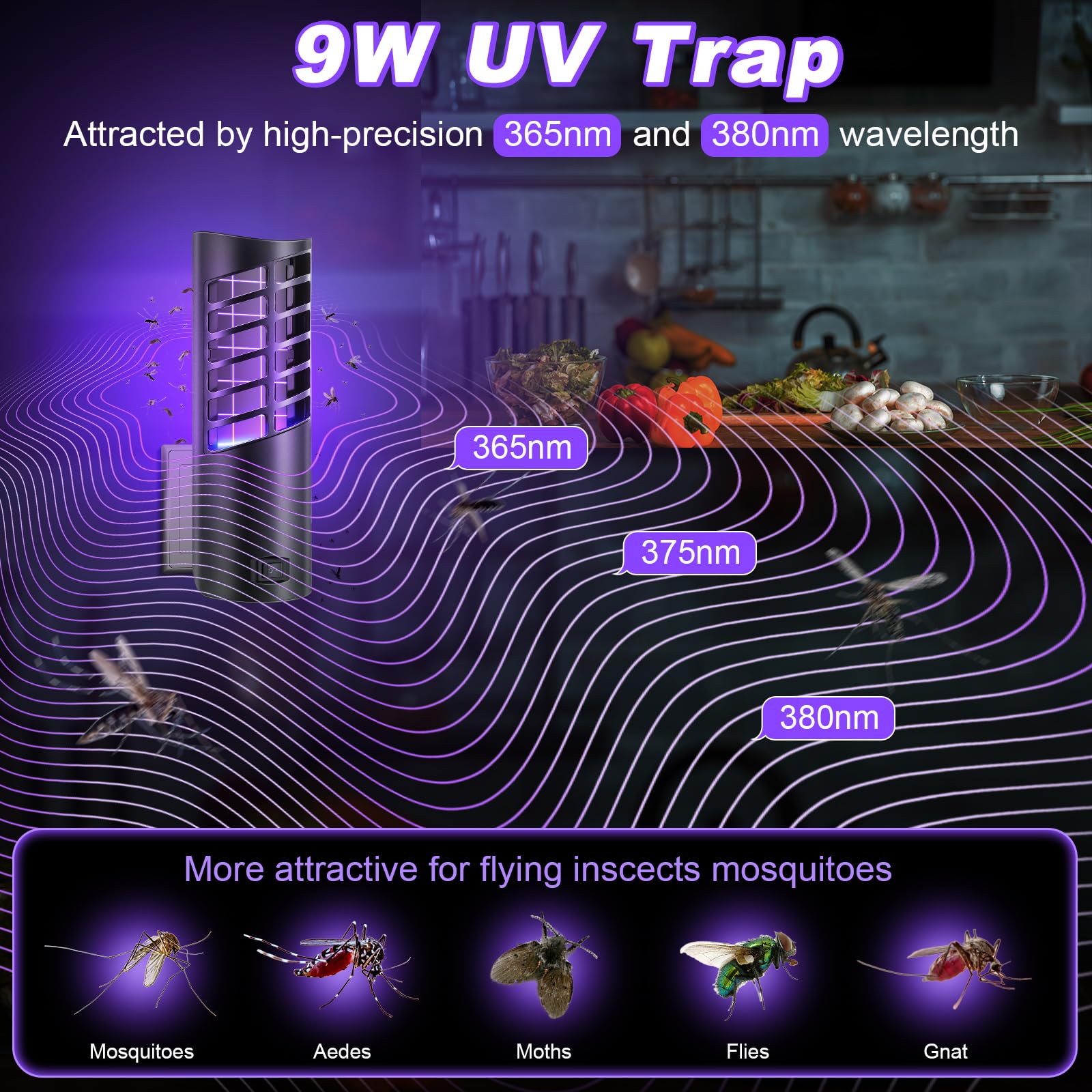 Qualirey Flying Insect Trap Mosquito Trap Indoor Plug in, Fruit Fly Traps for Indoors with 9W UV Light, 10 Sticky Glue Board Refills for Fruit Flies, Gnats, Moths, Indoor Fly Catcher for Home Office