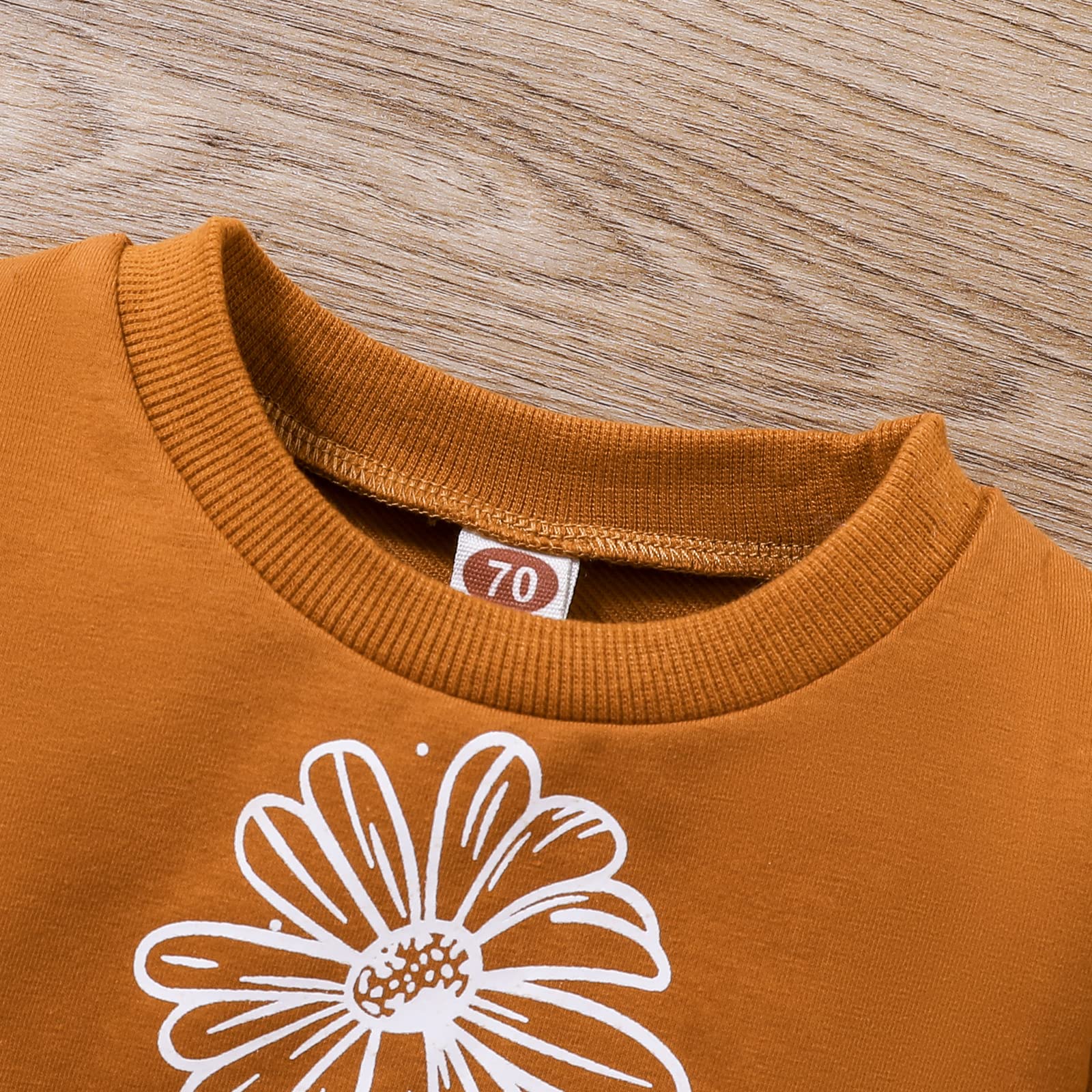Infant Baby Girl Fall Winter Outfits Long Sleeve Sweatshirt Flower Print Pullover Top+ Elastic Waist Pants 2Pcs Set (Brown-Wildflower, 6-12 Months)