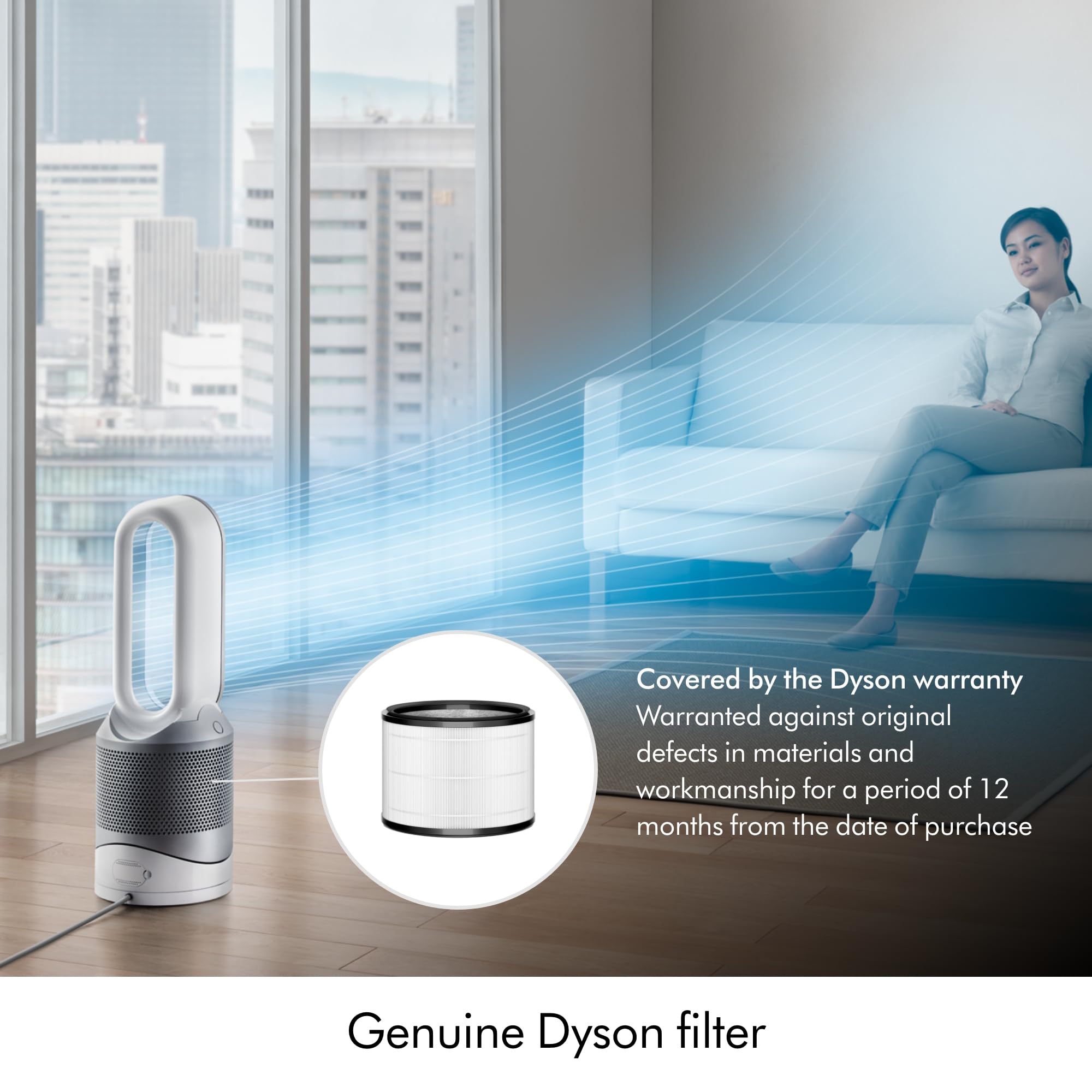 Dyson Air Purifier Replacement (HP01, HP02, DP01) 360° Glass HEPA Filter, 1 Count (Pack of 1), Silver/Green